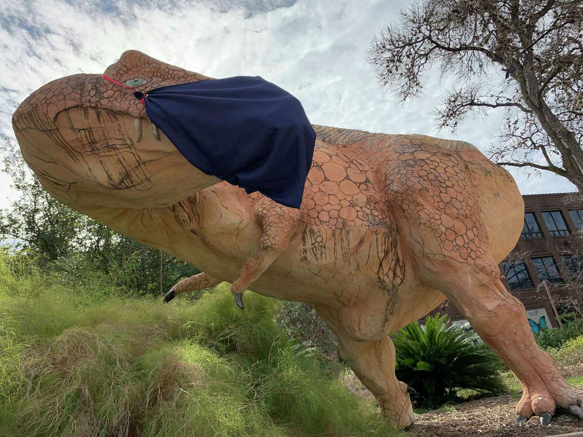 Meet the T. rex of Texas that prowled the San Antonio area more than ...