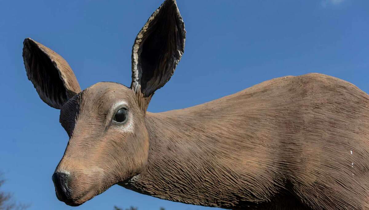 Whoa, a ‘Deer,’ a giant deer, turning heads at McNay Art Museum in San ...