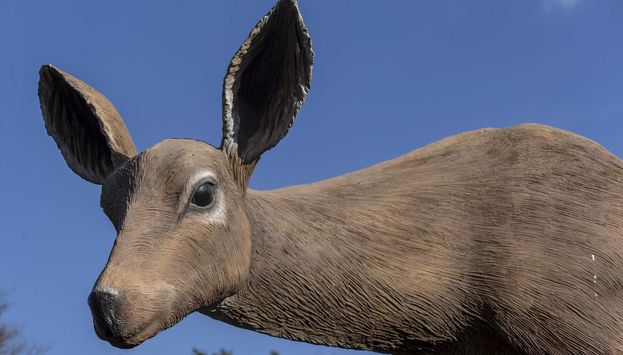Whoa, a ‘Deer,’ a giant deer, turning heads at McNay Art Museum in San ...