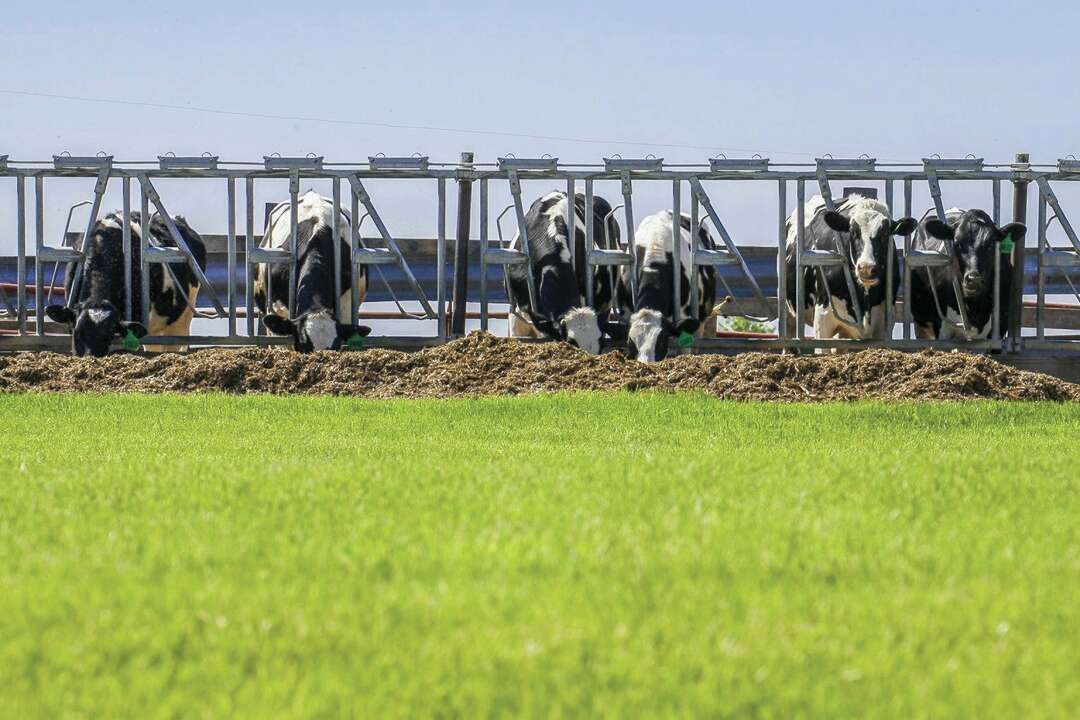 Zwemmer Dairy gets new methane digester