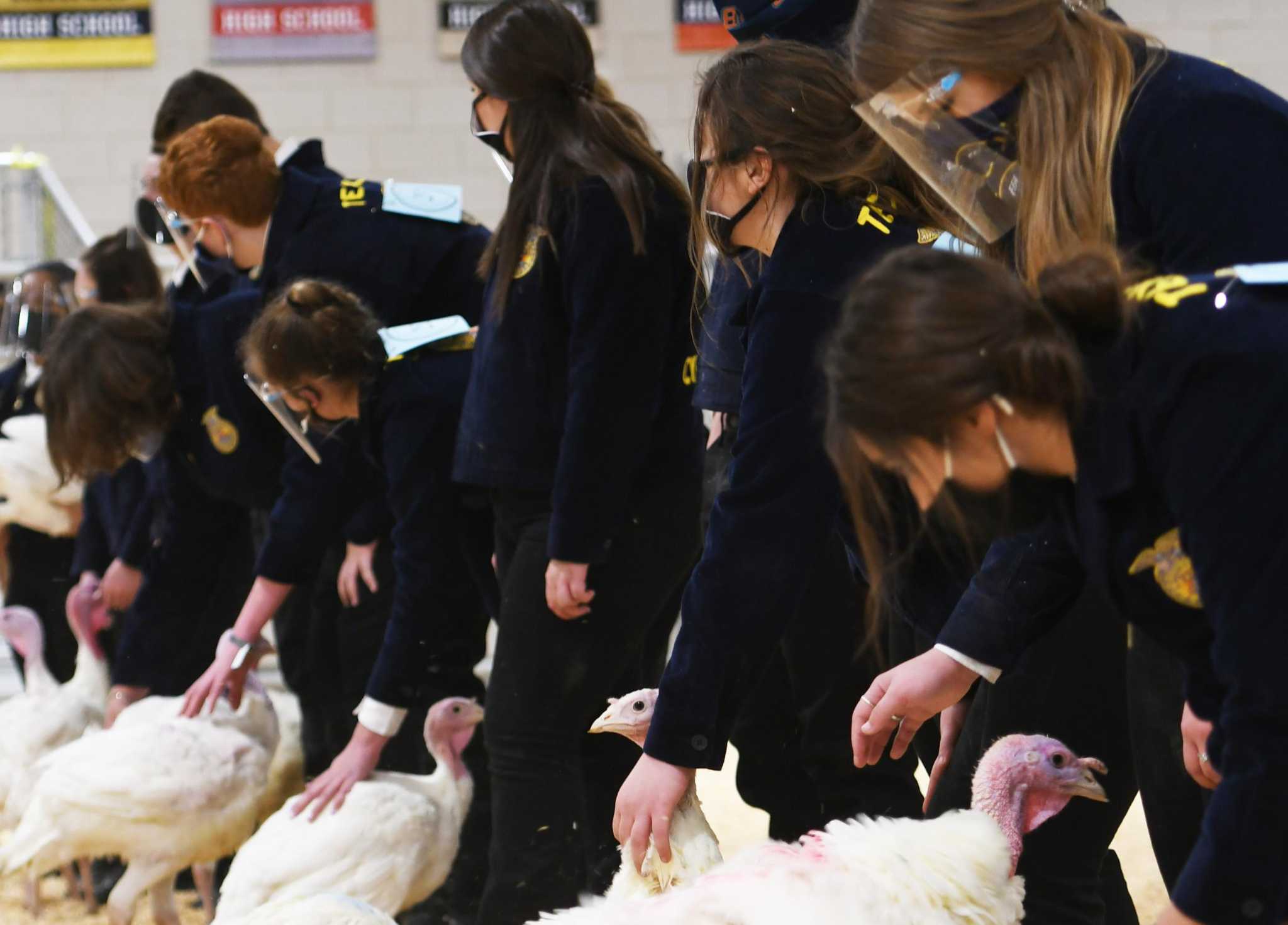 Cy-Fair ISD holds 27th annual Livestock Show and Sale with safety ...
