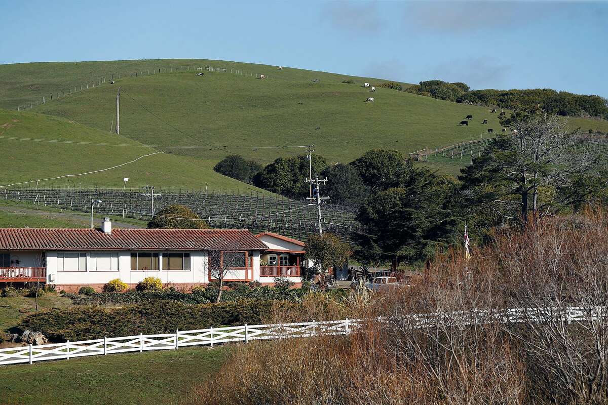 Point Reyes is not a wine destination. This vintner says climate change ...
