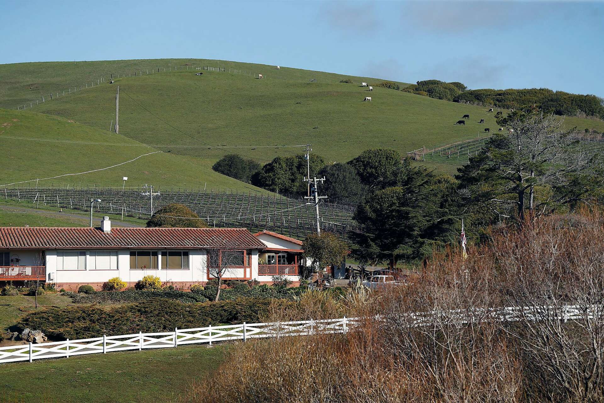 Point Reyes is not a wine destination. This vintner says climate change ...