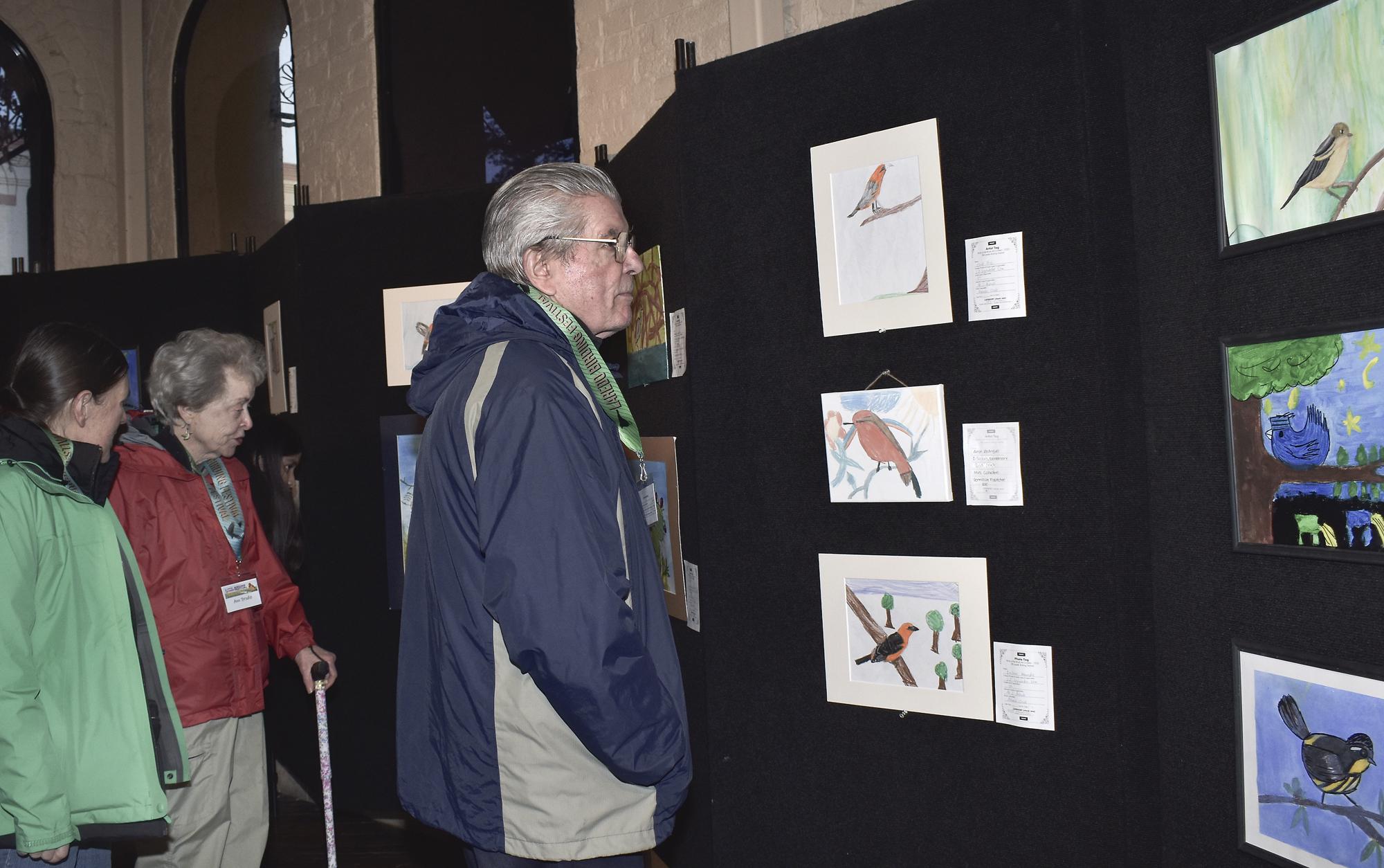 Annual bird watching festival to go fully virtual this year
