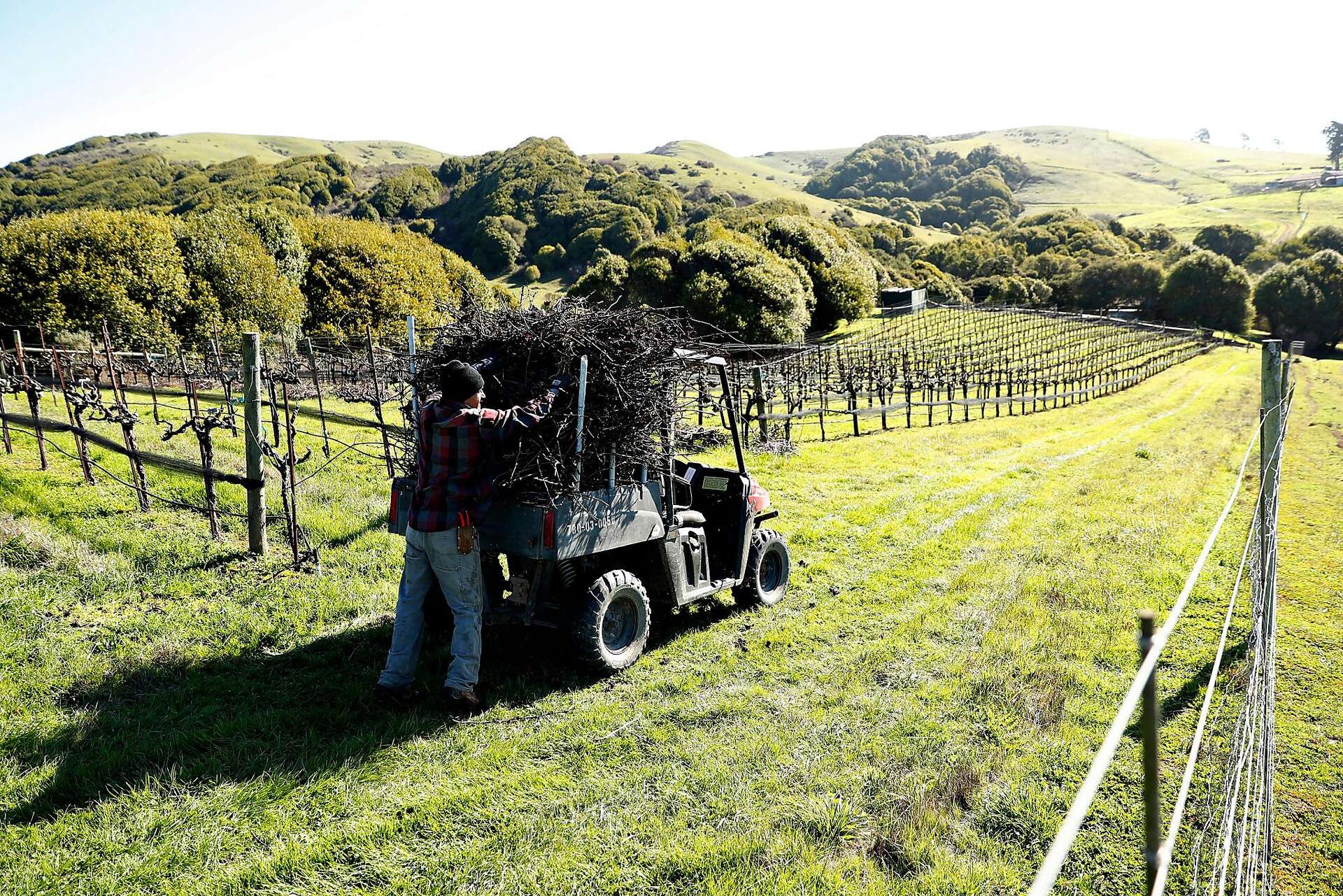 Point Reyes is not a wine destination. This vintner says climate change ...