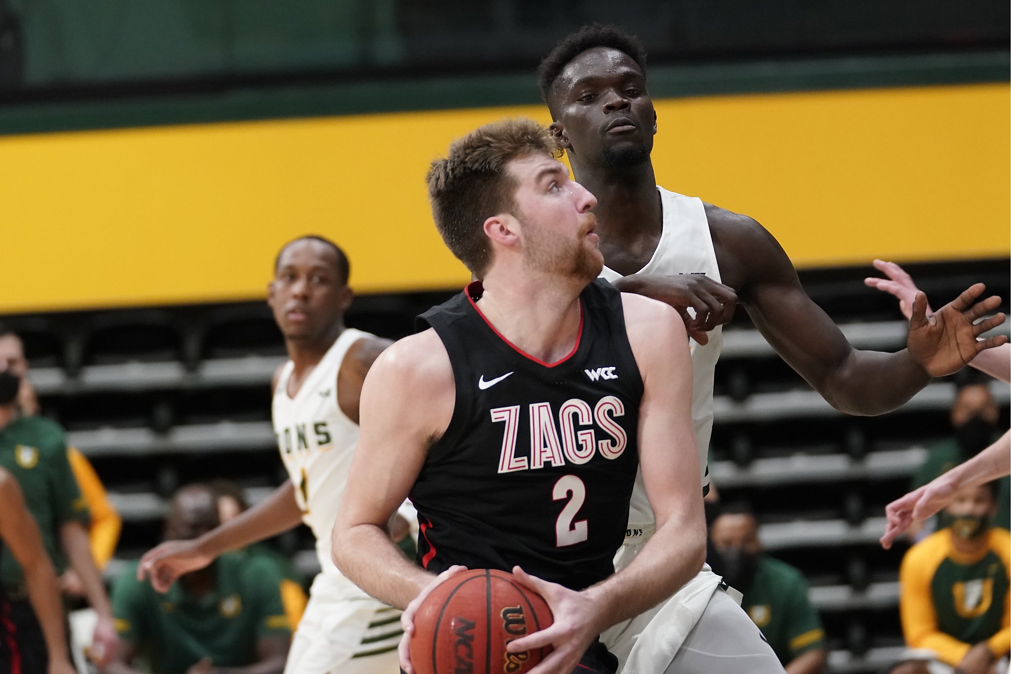 Drew Timme, No. 1 Gonzaga overwhelm USF 100-61, improve to 20-0