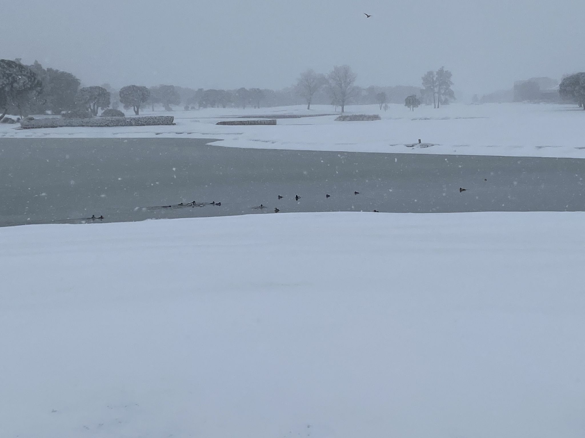 Close to record-breaking snow on Sunday