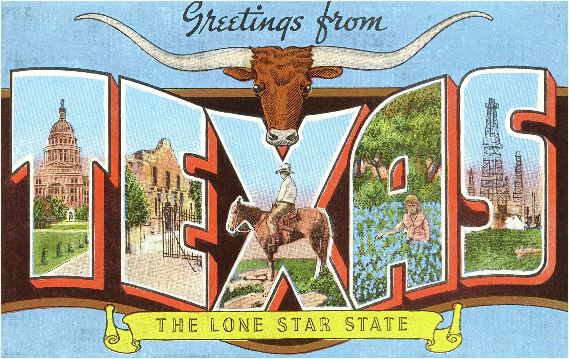 All you need to know about legendary longhorns, true Texas icons