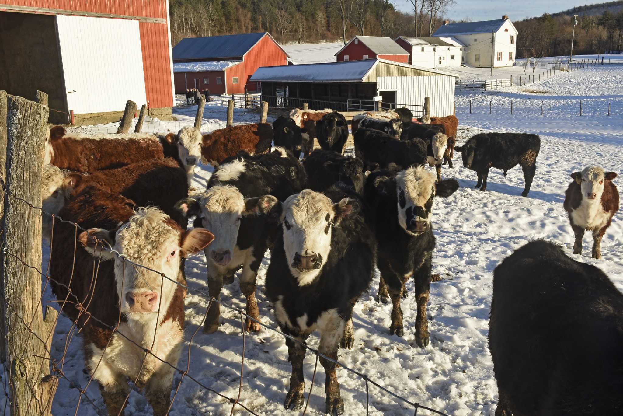 Fogarty family celebrates Centennial Farm Award