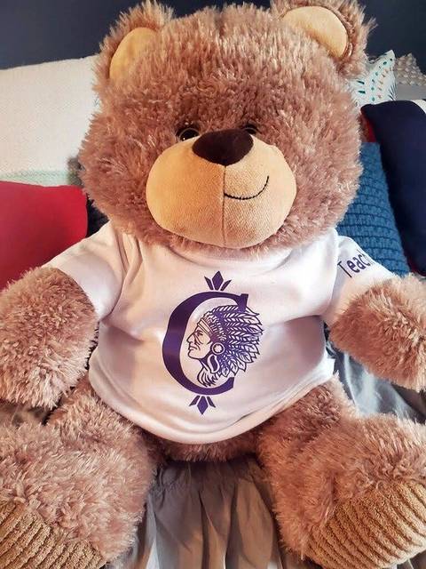 Teach Teddy helps students who struggle with remote learning