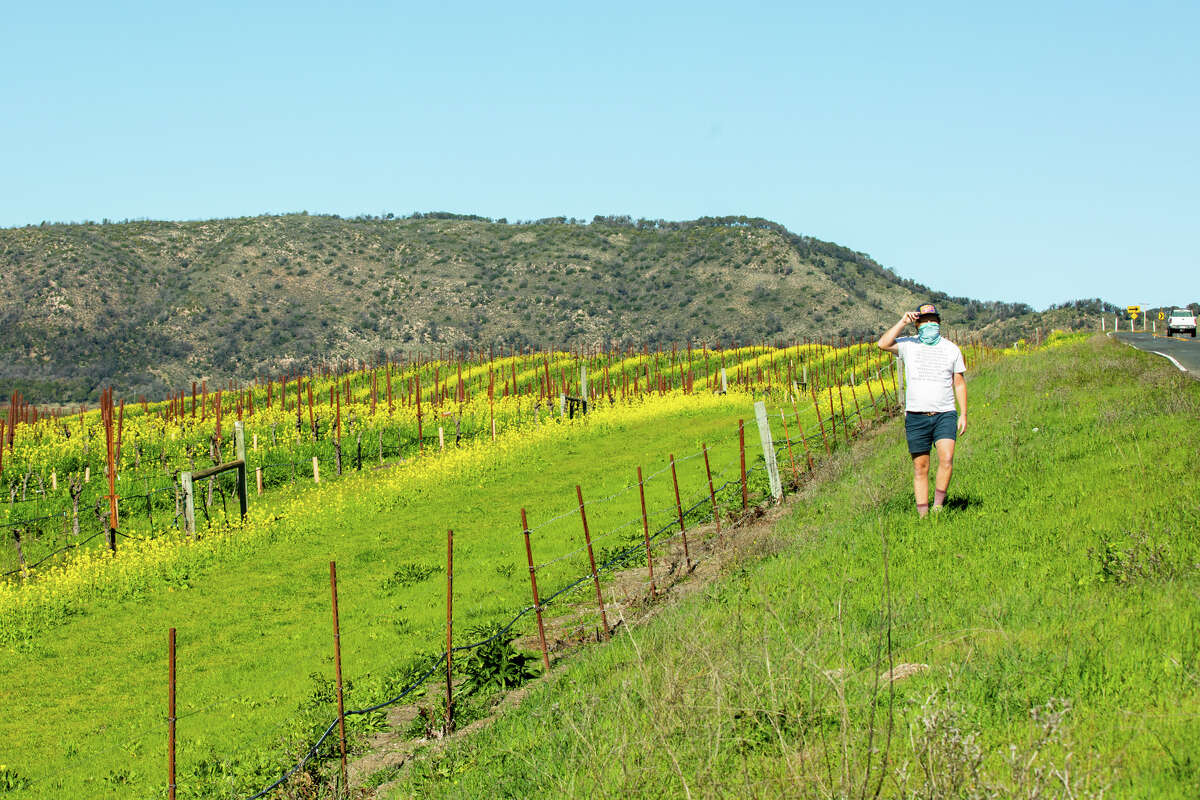 I found the Bay Area hill in Windows XP’s iconic wallpaper
