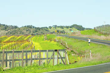 I found the Bay Area hill in Windows XP’s iconic wallpaper