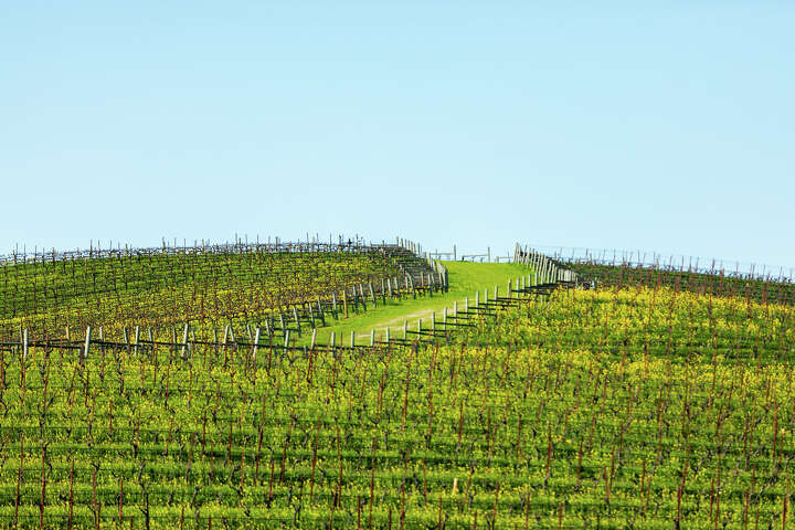 I found the Bay Area hill in Windows XP’s iconic wallpaper