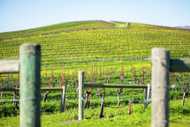 I found the Bay Area hill in Windows XP’s iconic wallpaper