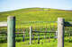 I found the Bay Area hill in Windows XP’s iconic wallpaper
