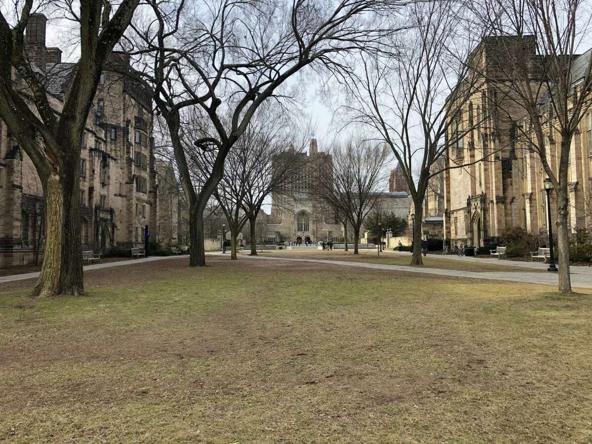 Are Dogs Allowed At Yale Outside Campus