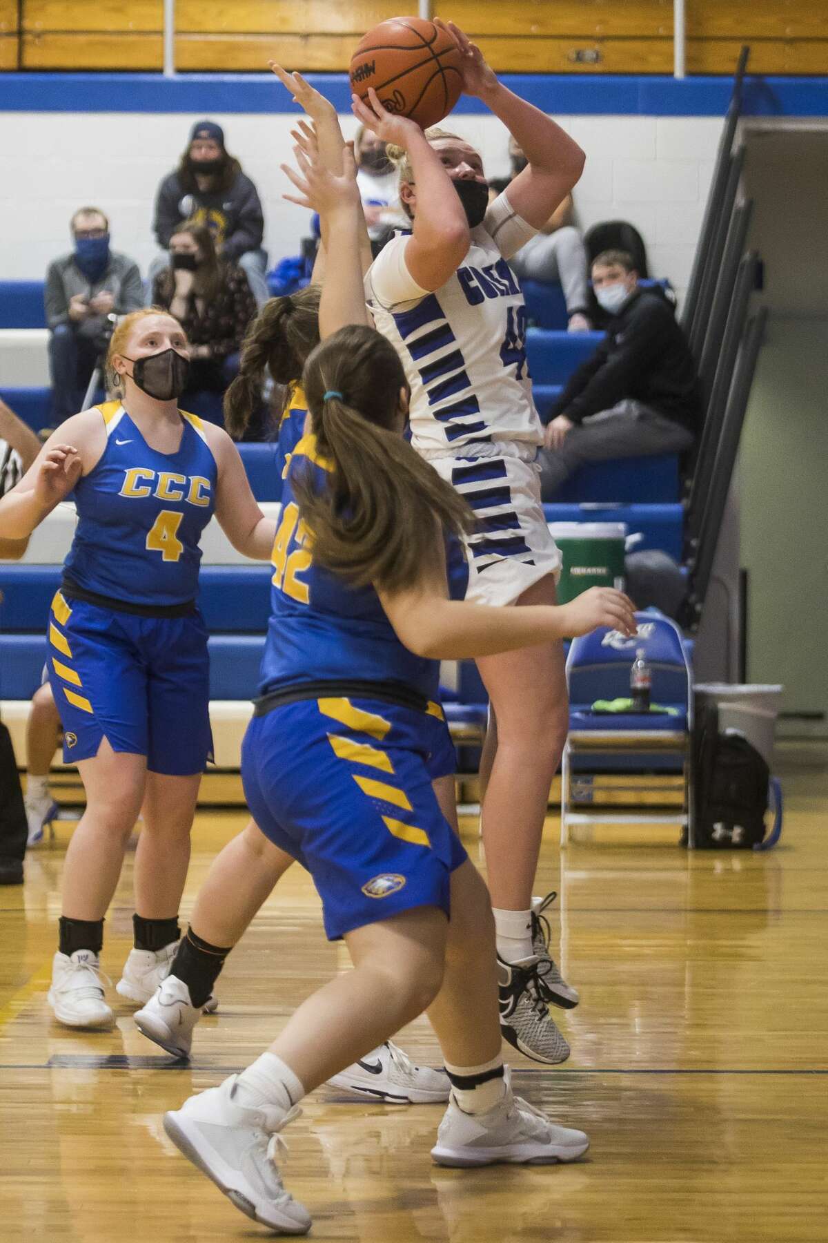 Coleman High School vs. Carson City-Crystal High School girls ...