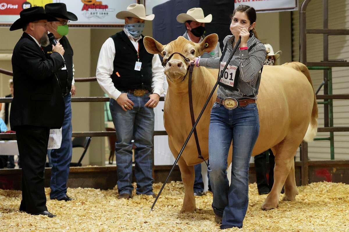 Junior Market Steer Auction an invitation only event this year to ...