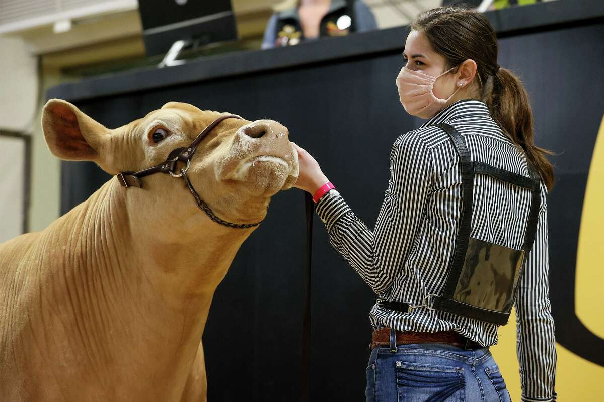 Junior Market Steer Auction an invitation only event this year to ...