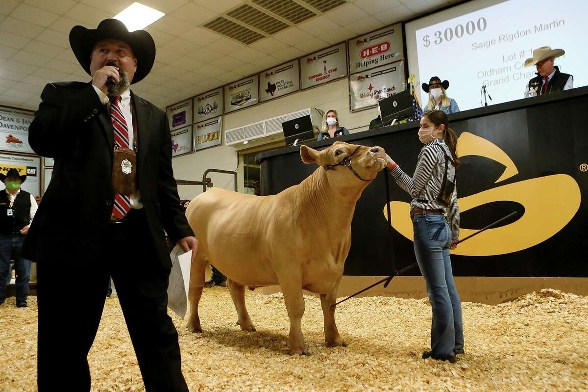 Junior Market Steer Auction an invitation only event this year to ...