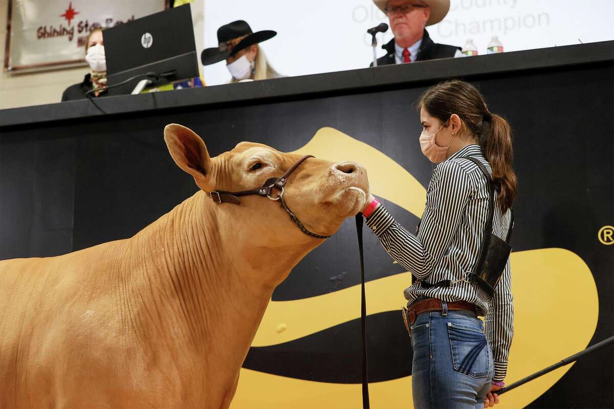 Junior Market Steer Auction an invitation only event this year to ...