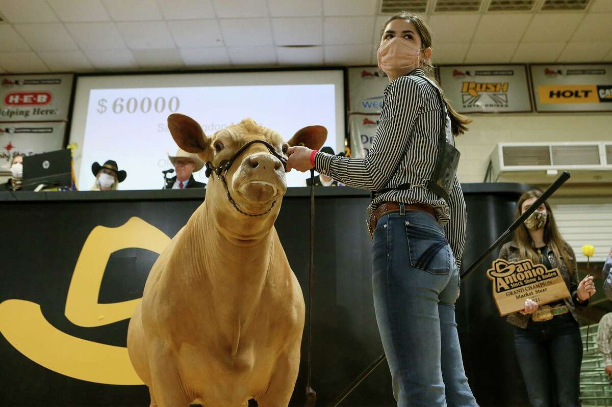 Junior Market Steer Auction an invitation only event this year to ...