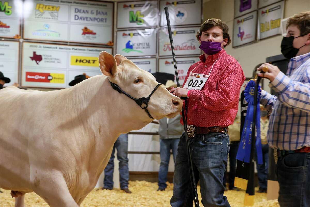 Junior Market Steer Auction an invitation only event this year to ...