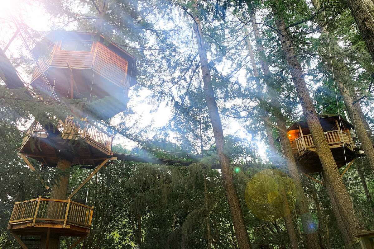 A family adventure to a tree house resort along the Northern California ...
