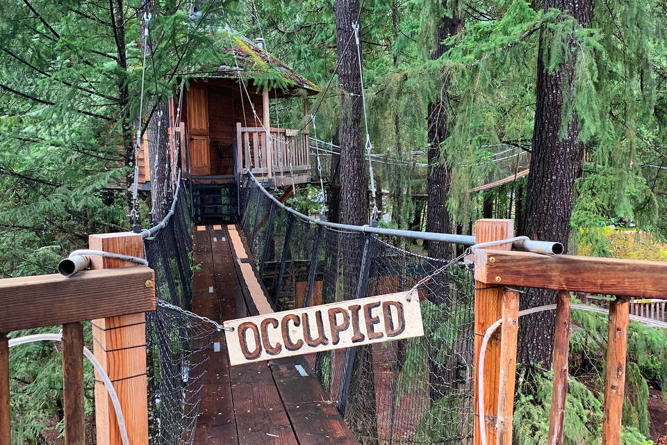 cave junction tree house