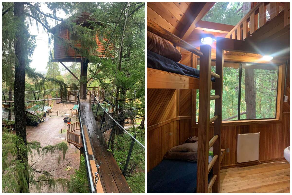 A family adventure to a tree house resort along the Northern California ...