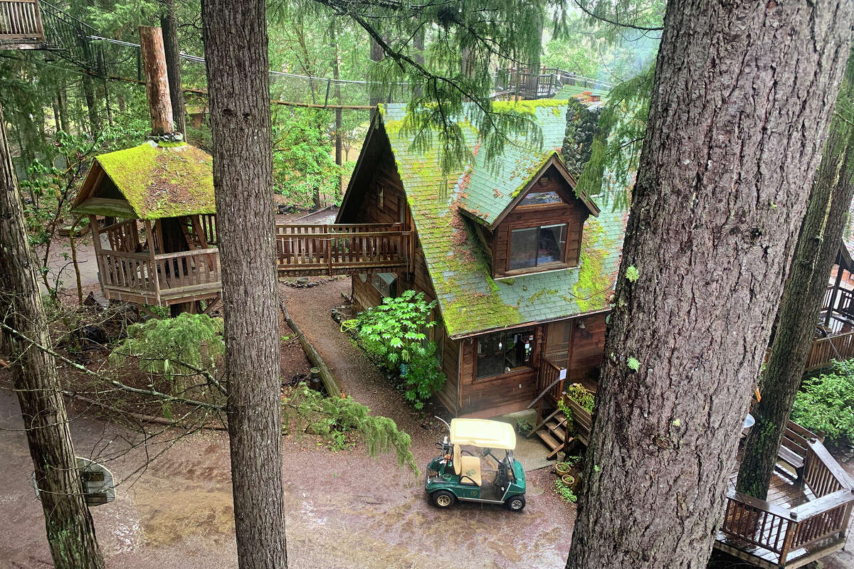 A family adventure to a tree house resort along the Northern California ...