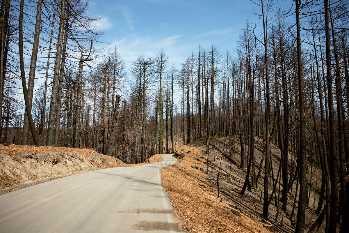 More than six months after the fire started, Big Basin is still burning