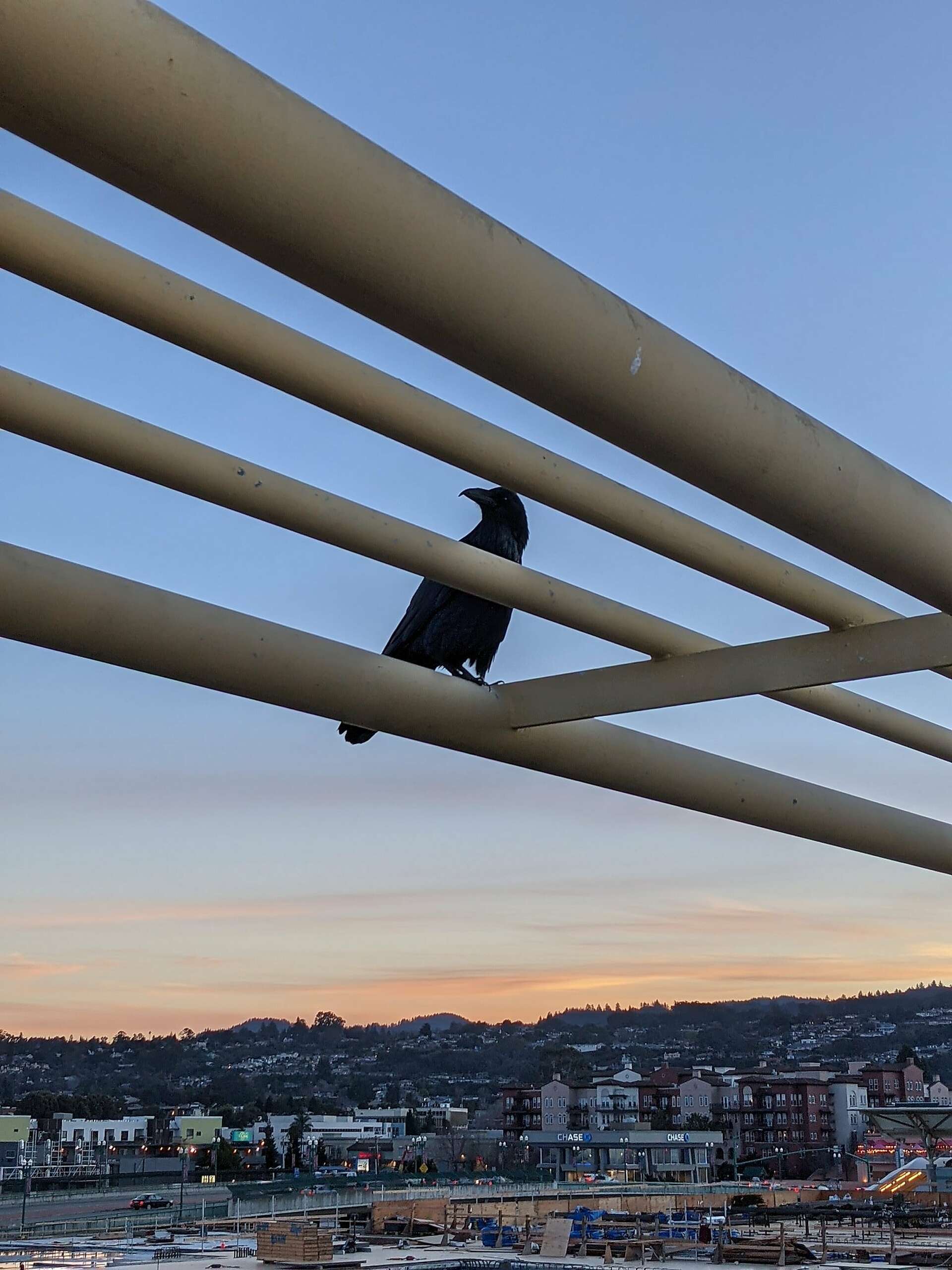 BART platforms: The unexpected thing I missed most during the pandemic