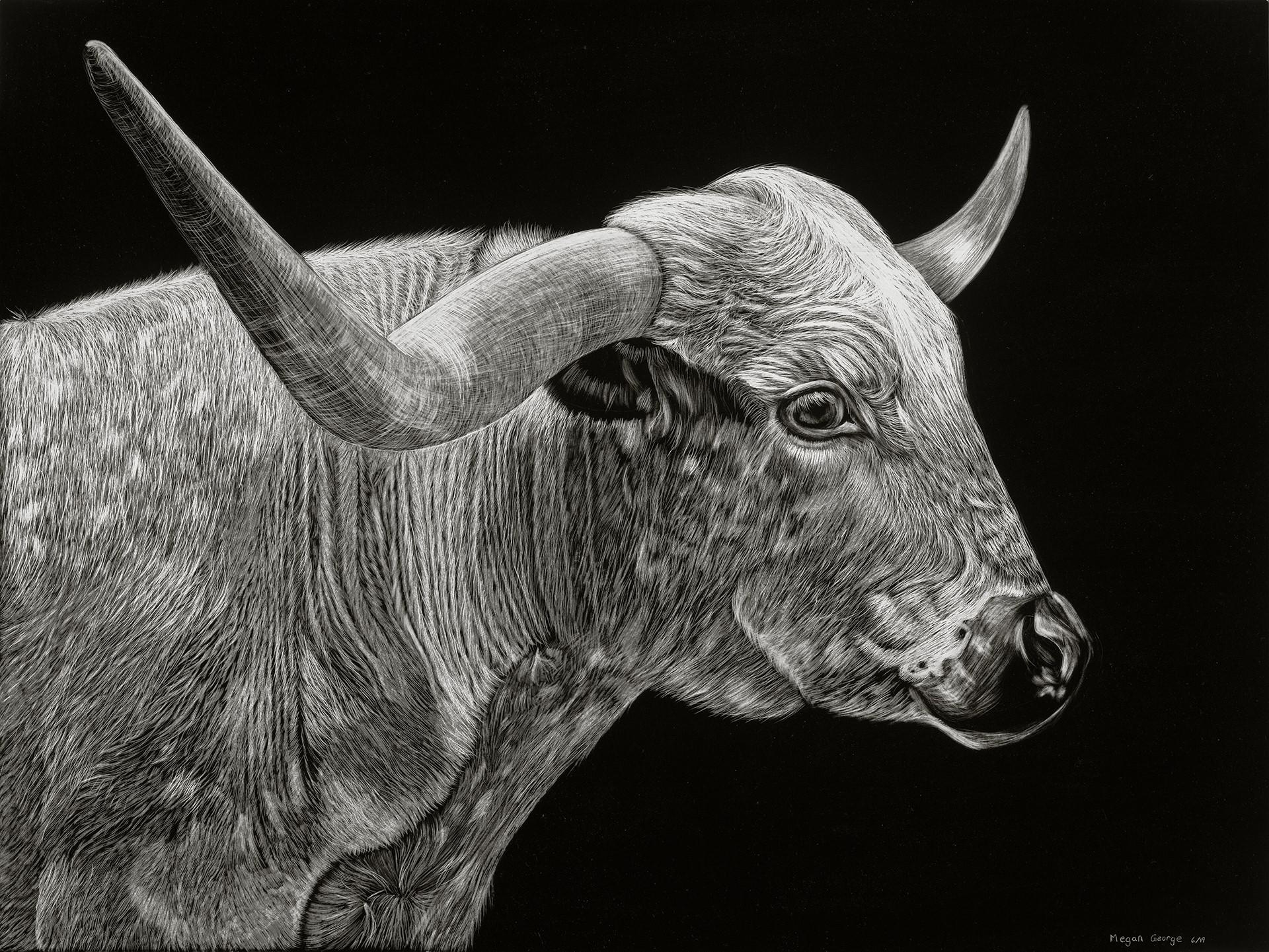 Conroe Art League overcomes damage from winter storm