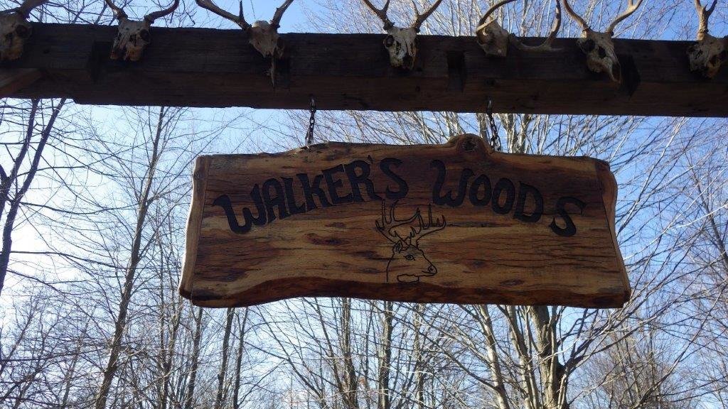 TOM LOUNSBURY: Harvesting sweet bounty of the woodlands