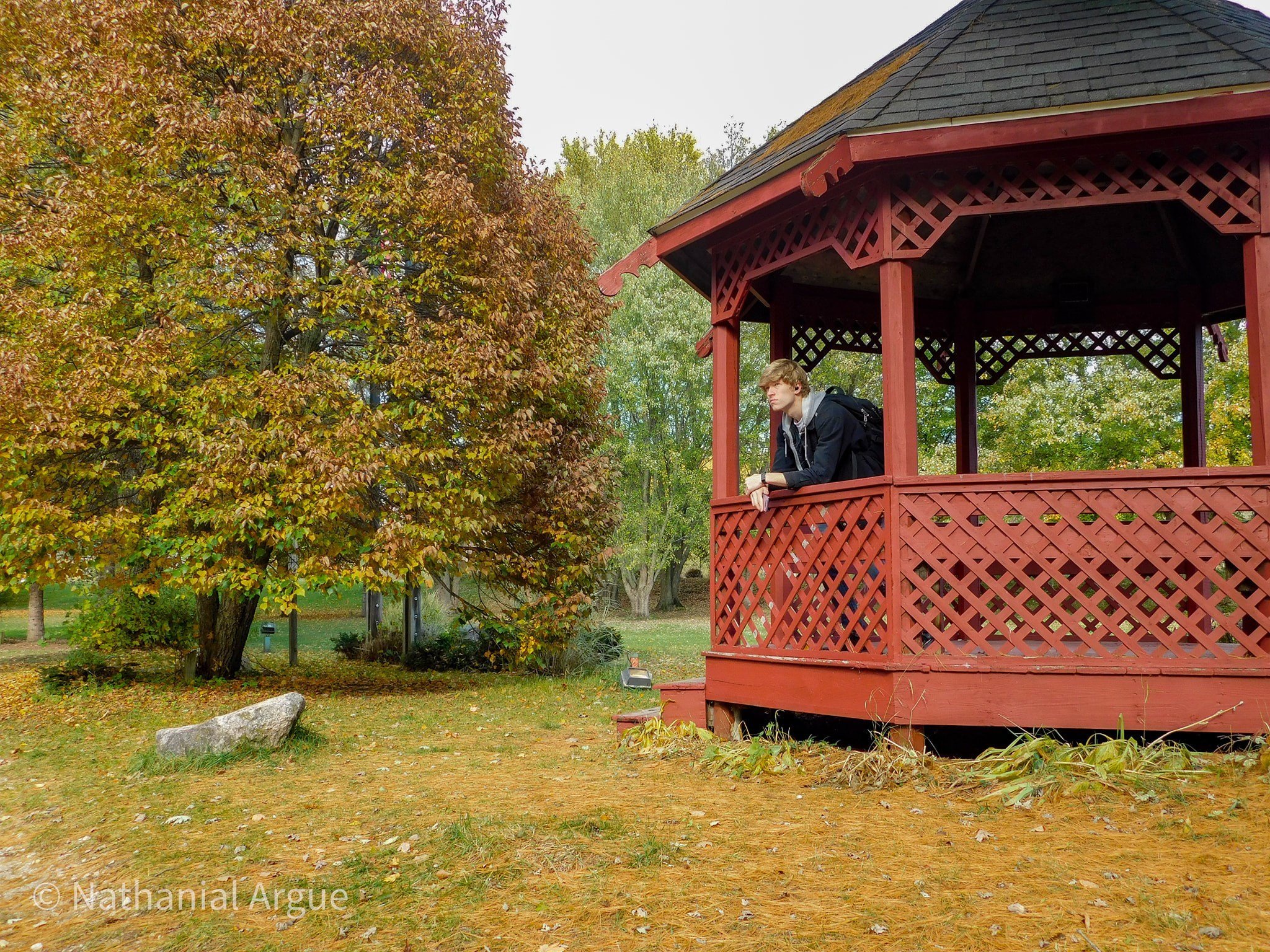 Reed City photographer showcases community through his eyes