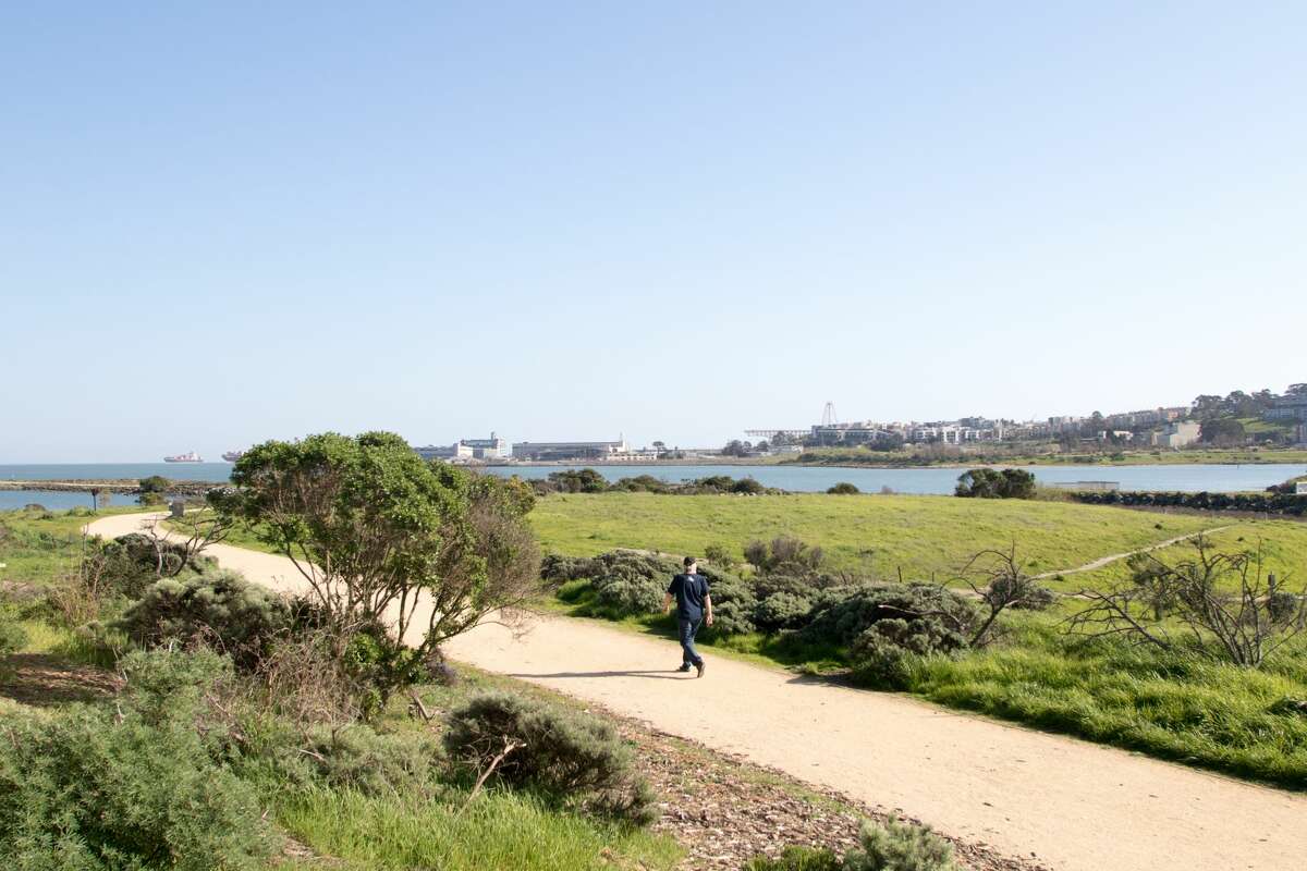 I went to all the parks in the Bayview. Here’s what it was like.