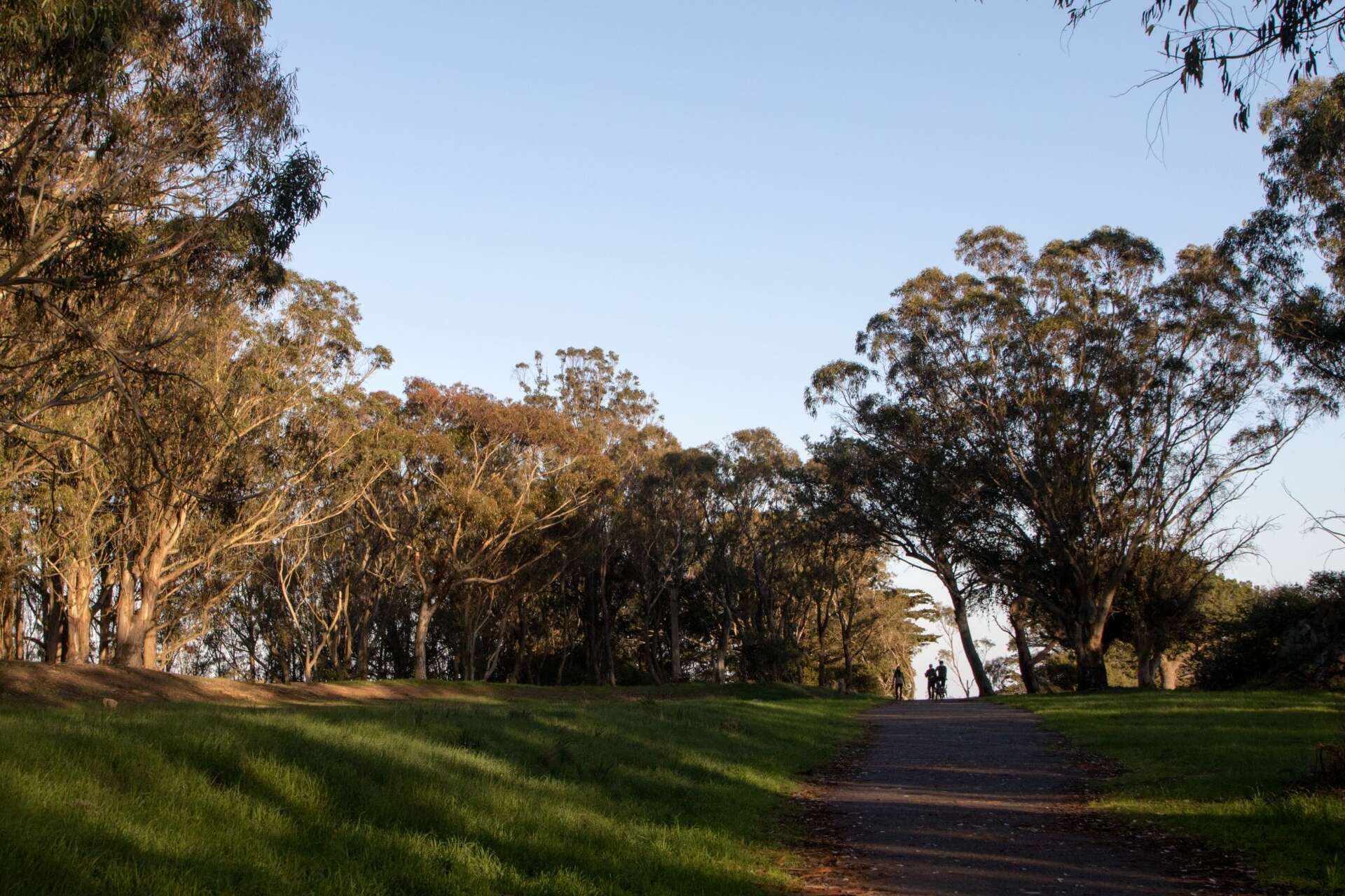 I went to all the parks in the Bayview. Here’s what it was like.