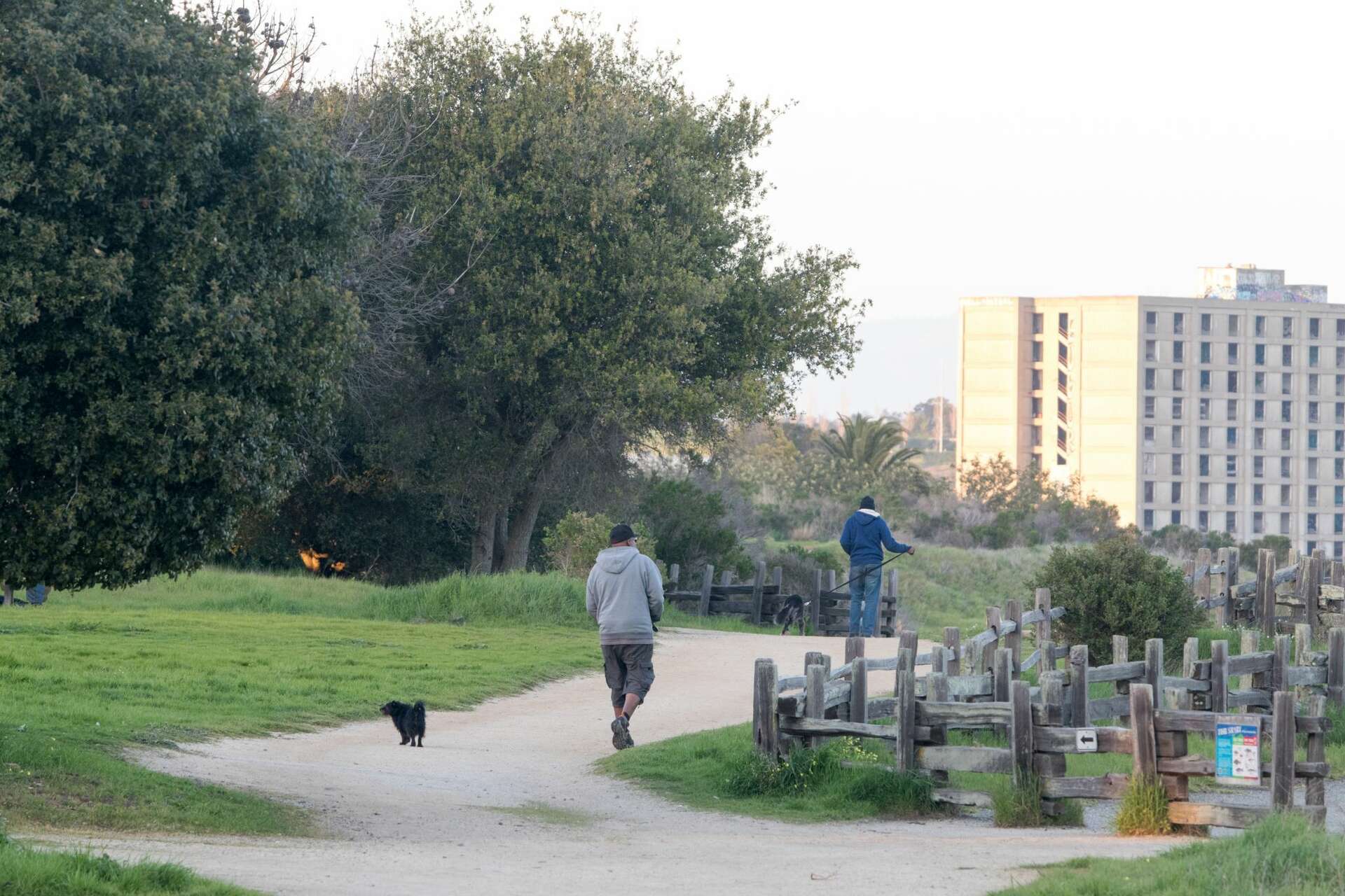 I went to all the parks in the Bayview. Here’s what it was like.