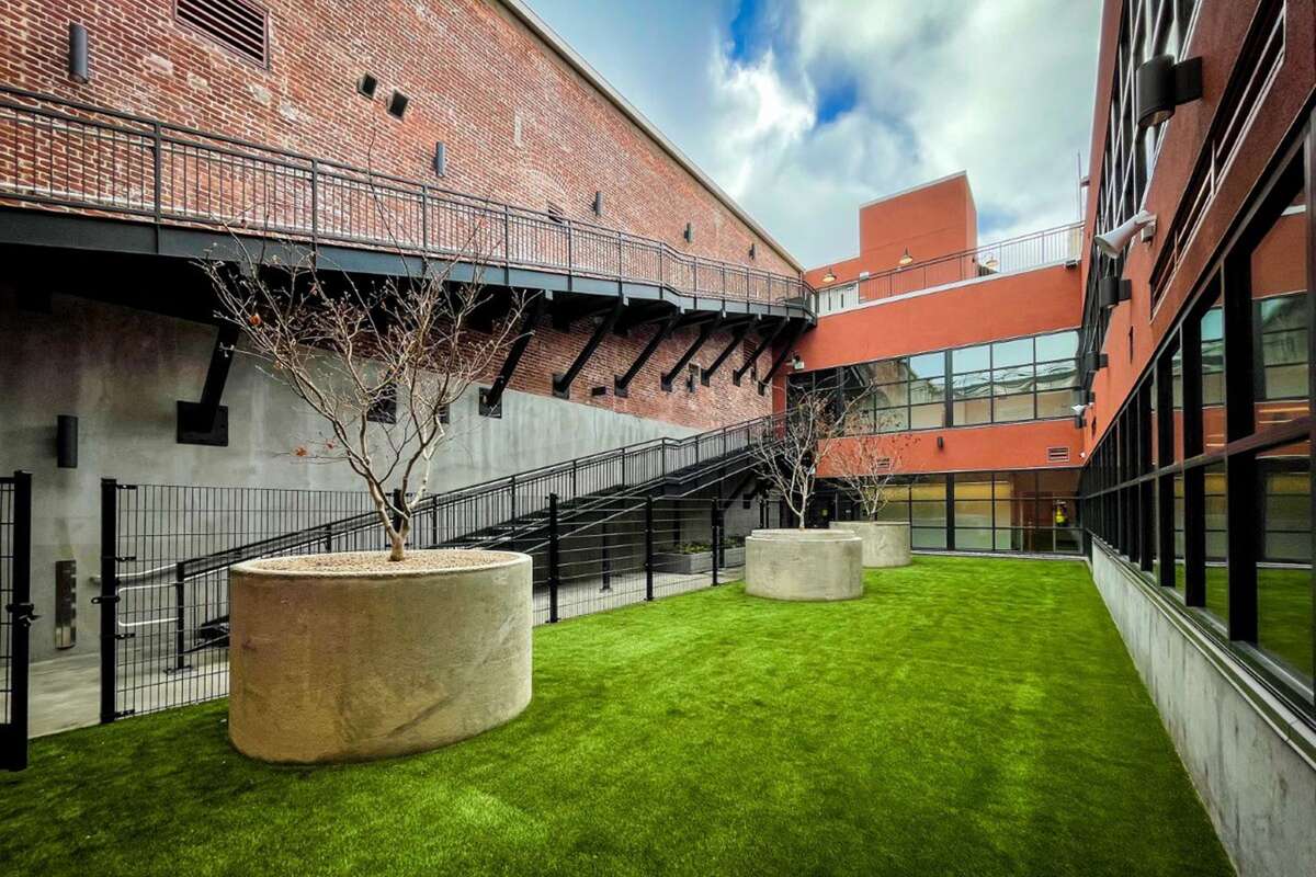 Animal Care And Control Unveils New State-Of-The-Art Facility