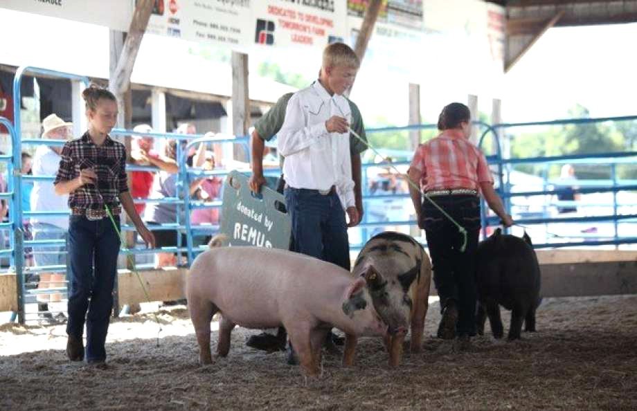 Mecosta County Fair set to return this summer