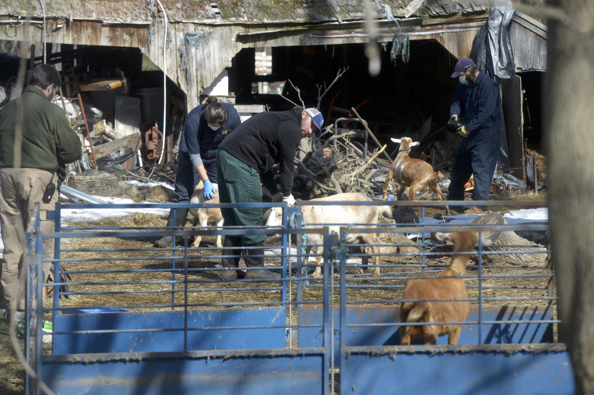 Police and state officials seize goats from Redding property