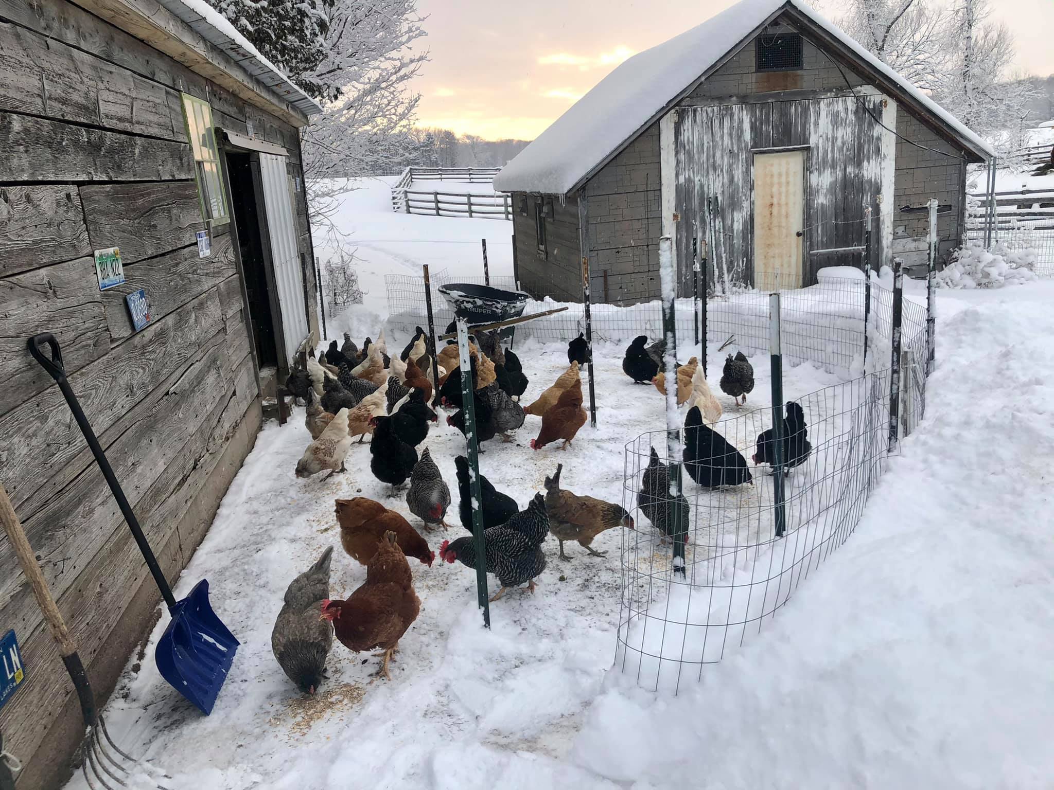 Lindgren Family farm changes gears