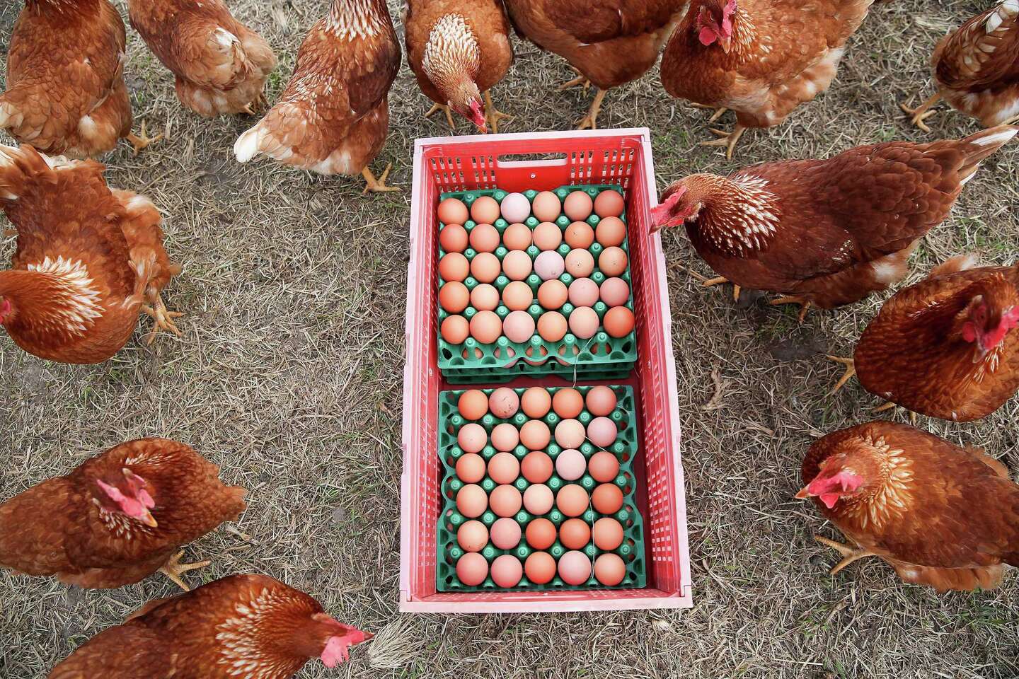 Meet 5 Texas couples who've said goodbye to city life for rural Brenham