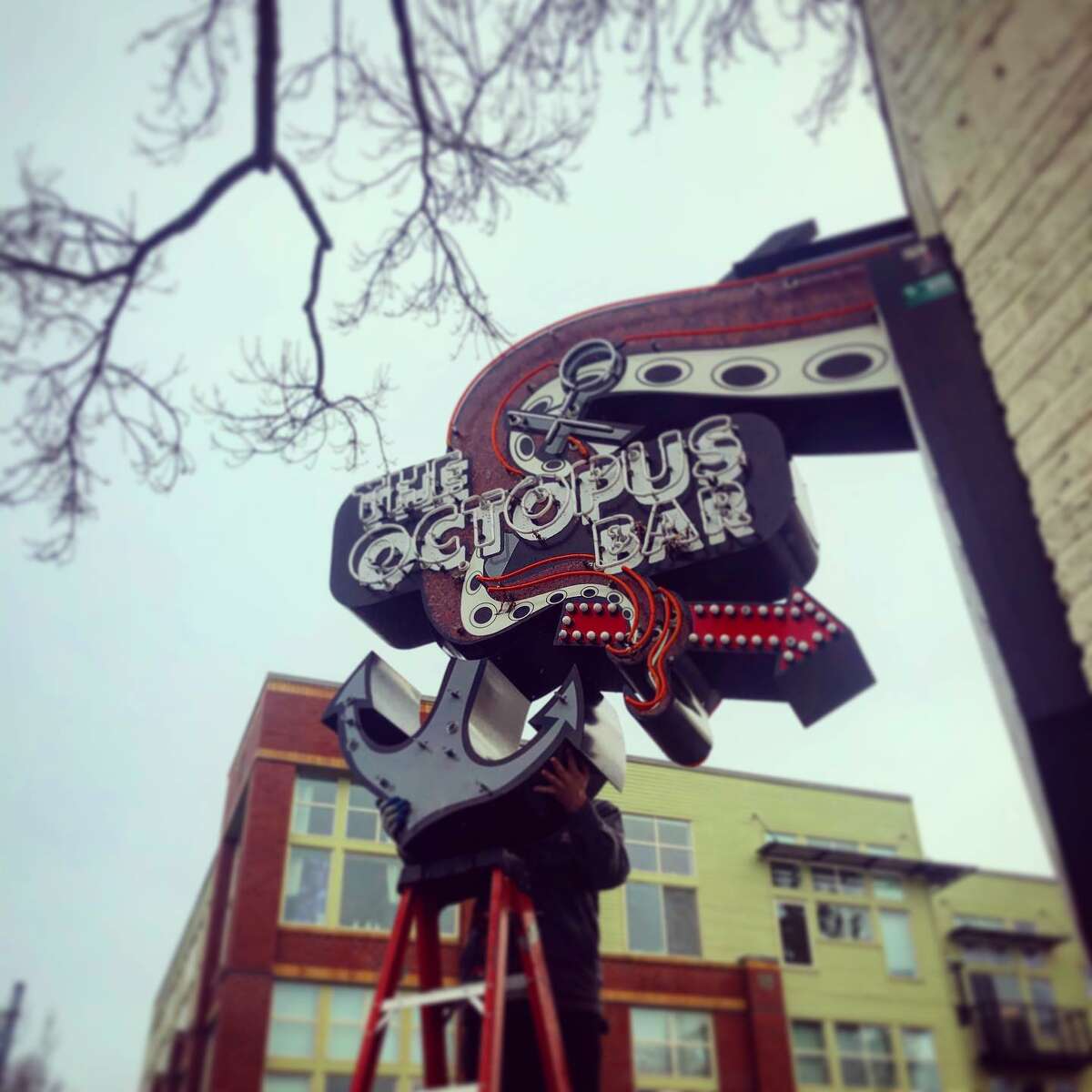 Seattle's Octopus Bar opens its artful tentacles again