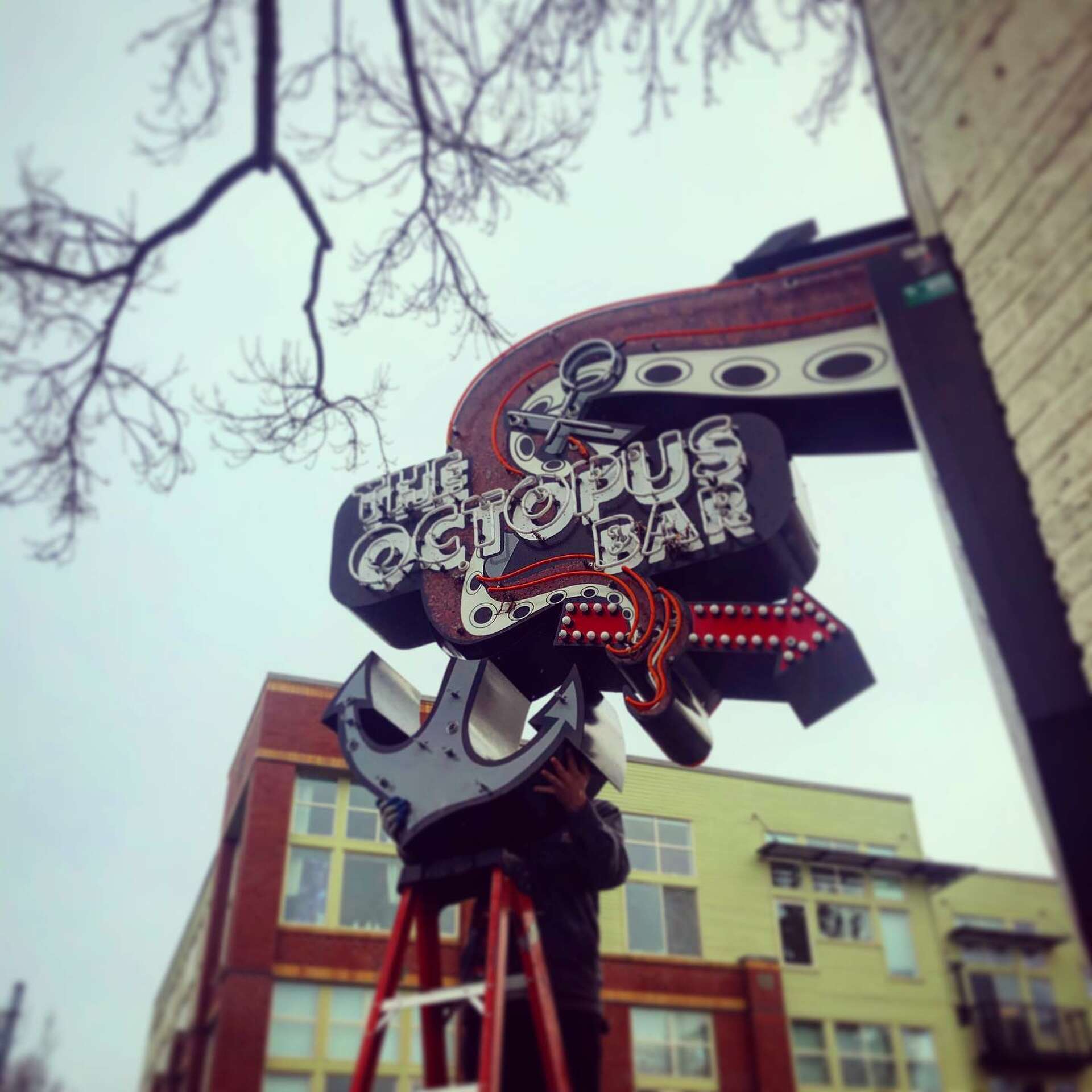 Seattle's Octopus Bar opens its artful tentacles again