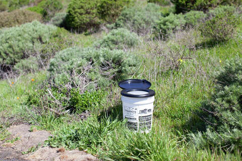 An ode to the Luggable Loo, your passport to summer travel