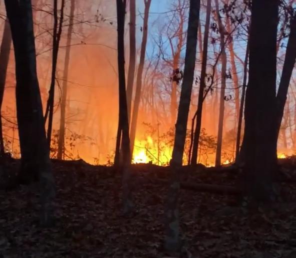 Shelton fire log: Crews respond to brush fires, Chase Bank fire call