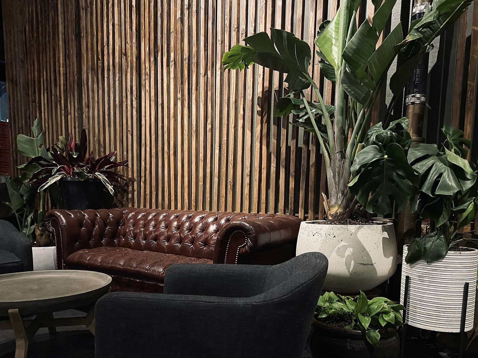 San Francisco’s newest cocktail bar features plants, plants and more plants