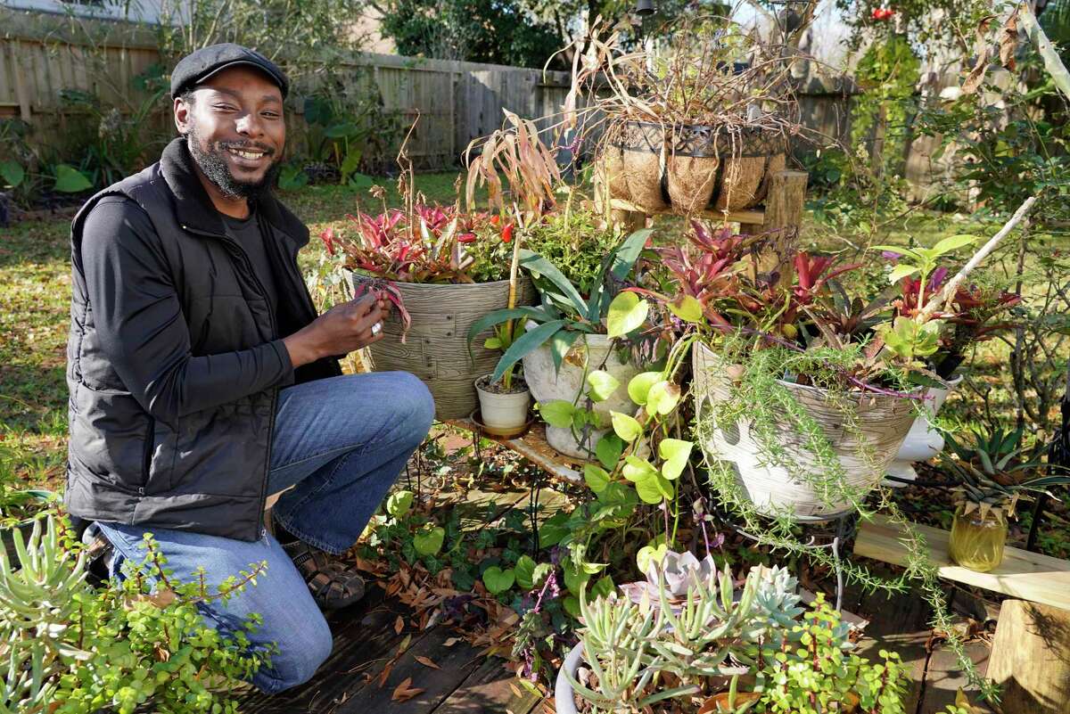 Sewing: Houston's Garden Marcus on his TikTok life and planting with ...